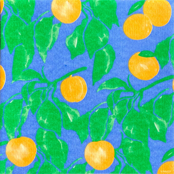 Francoise Paviot Dinner Napkins - Apricot – Divertimenti Cookshop