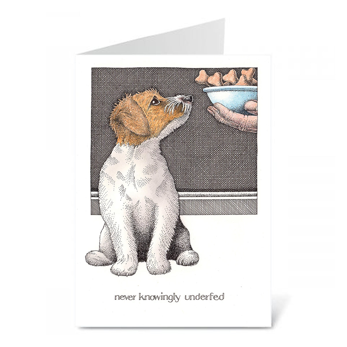 Simon Drew Card - Underfed – Divertimenti Cookshop