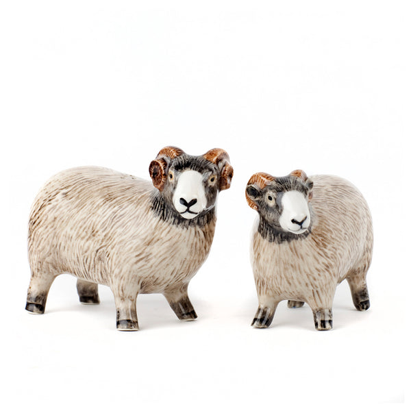 Swaledale Sheep Salt and Pepper Shaker Set | Divertimenti Cookshop